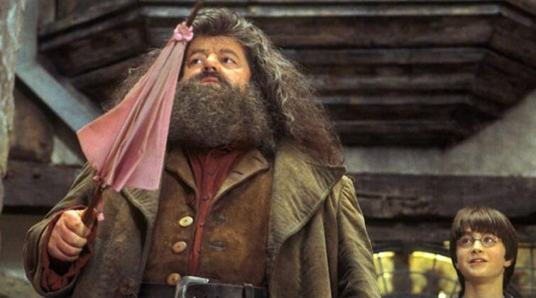 MUERE a los 72 años de edad Robbie COLTRANE, el actor quien dio vida a ...