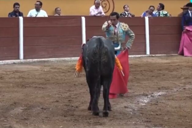 Torero Emilio Macías sufre GRAVE CORNADA en la PLAZA de TOROS de ...